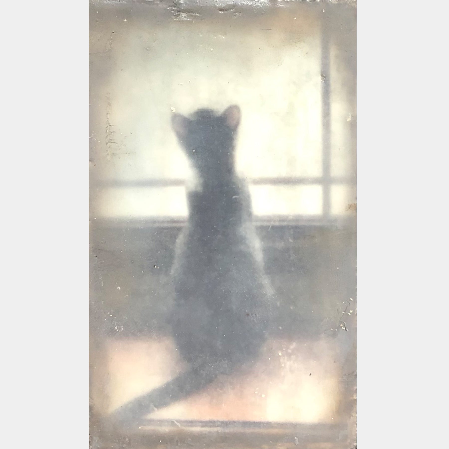 Miniatures – Beyond Letters